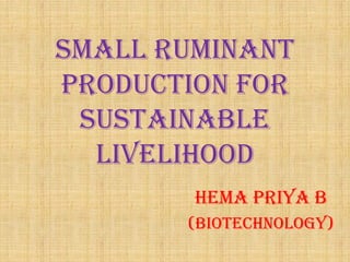 Small ruminant production for sustainable livelihood | PPT