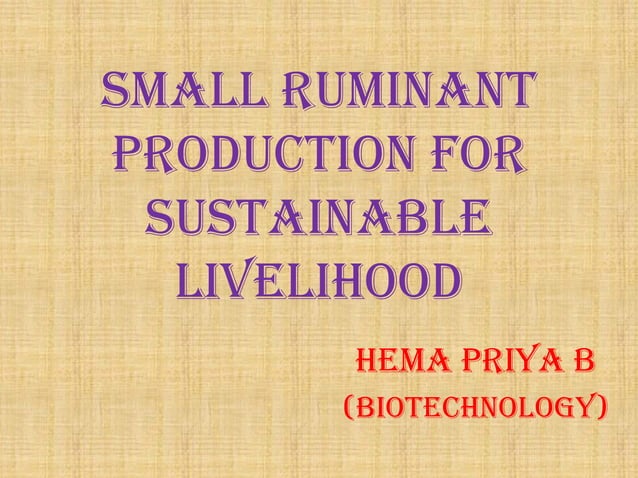 Small ruminant production for sustainable livelihood | PPT