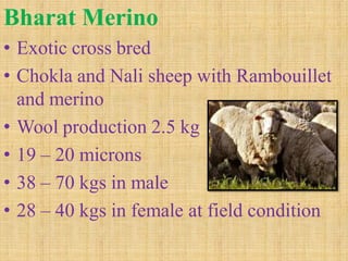 Small ruminant production for sustainable livelihood | PDF