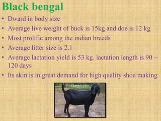 Small ruminant production for sustainable livelihood | PDF