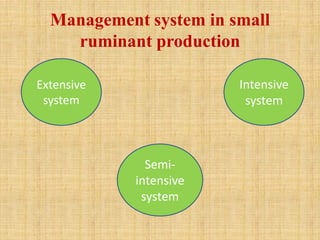 Small ruminant production for sustainable livelihood | PPT