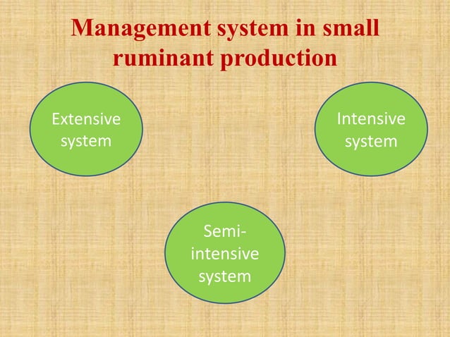 Small ruminant production for sustainable livelihood | PPT