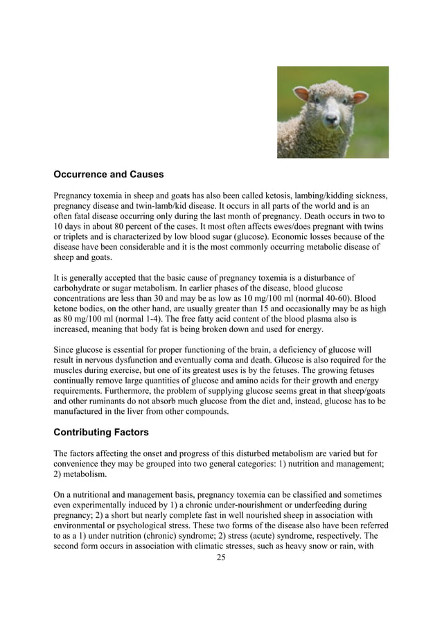 Small ruminant production | DOC