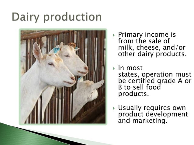 Intro to small ruminant enterprises | PPTX | Agriculture | Industries