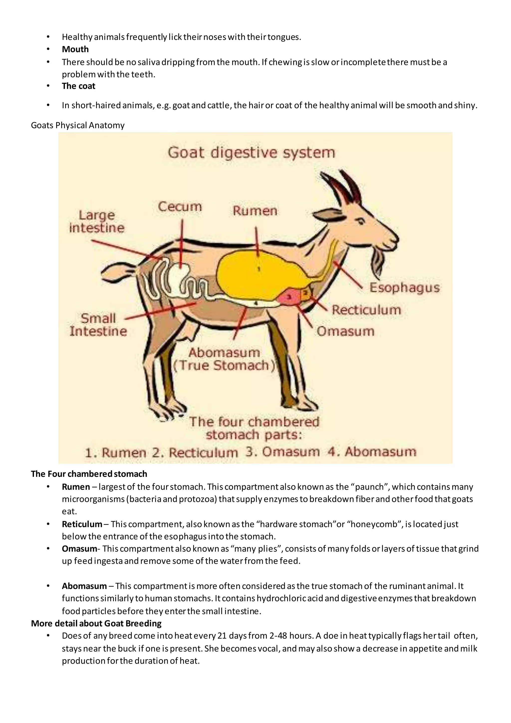 SMALL RUMINANTS hand out.docx