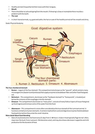 SMALL RUMINANTS hand out.docx