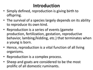 Small ruminants Lecture two.pptx
