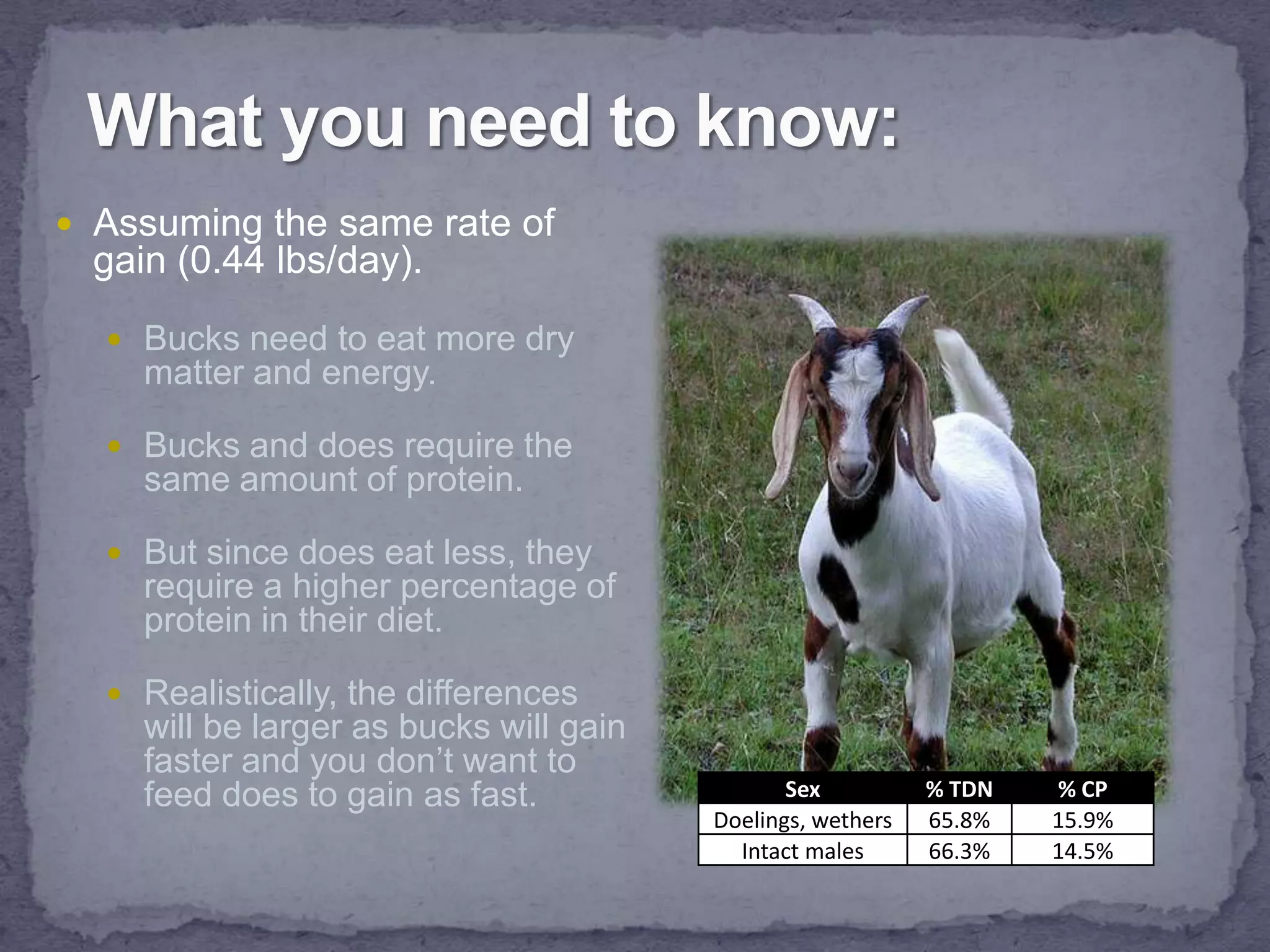 Small Ruminant Nutrition | PPTX