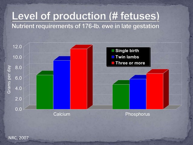 Small Ruminant Nutrition | PPTX