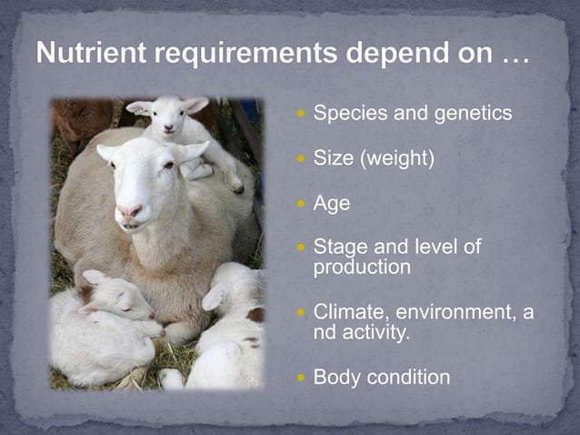 Small Ruminant Nutrition | PPT