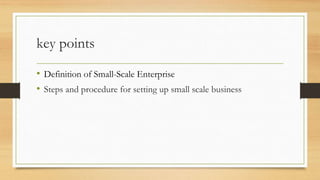 Small scale business enterprises | PPTX