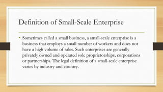 Small scale business enterprises | PPTX