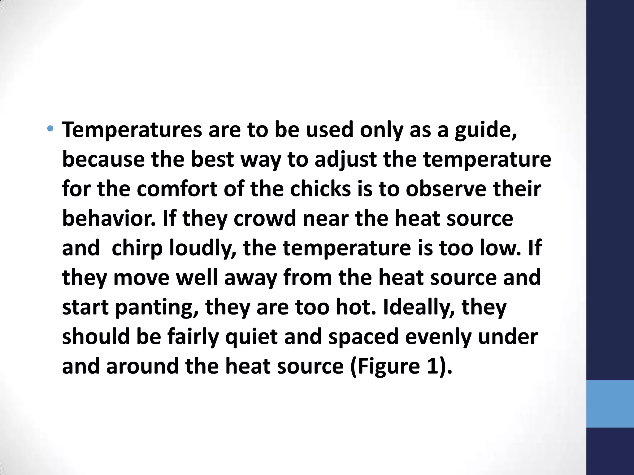 Small scale poultry keeping – brooding | PPTX