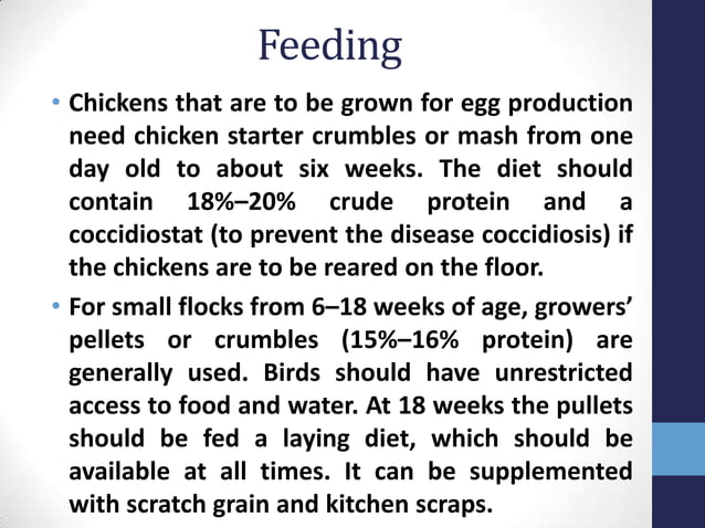 Small scale poultry keeping – brooding | PPTX