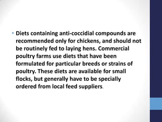 Small scale poultry keeping – brooding | PPTX