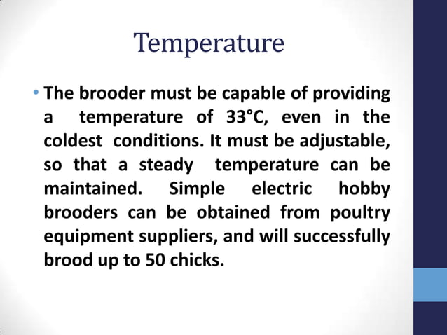 Small scale poultry keeping – brooding | PPTX
