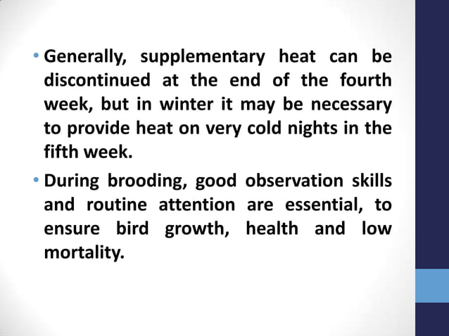 Small scale poultry keeping – brooding | PPTX