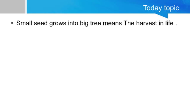 Small seed grows into big tree.pptx