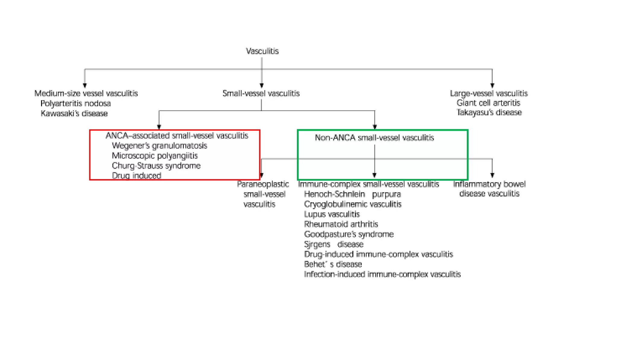 Small vessel vasculitis - Bauer | PPTX