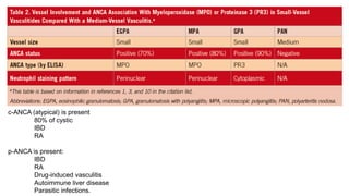 Small vessel vasculitis - Bauer | PPTX