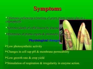 Small Wonder of BioAccumulators | PDF