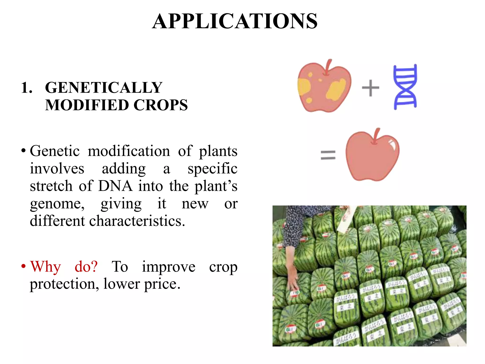 Social and ethical issues of genetic engineering | PPTX