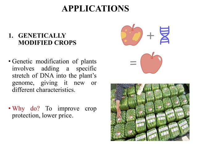 Social and ethical issues of genetic engineering | PPTX