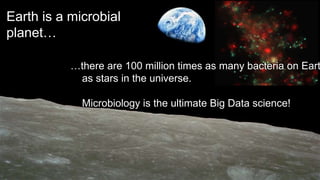 The Microbiome in the Environment and You | PPTX