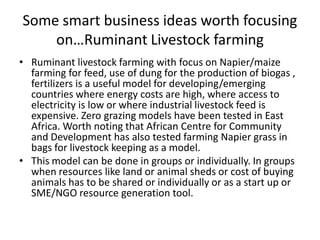 Smart business ideas for stakeholders in developing and emerging ...