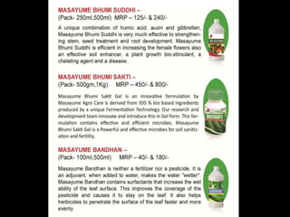 Smart Citizen Presentation | PPT