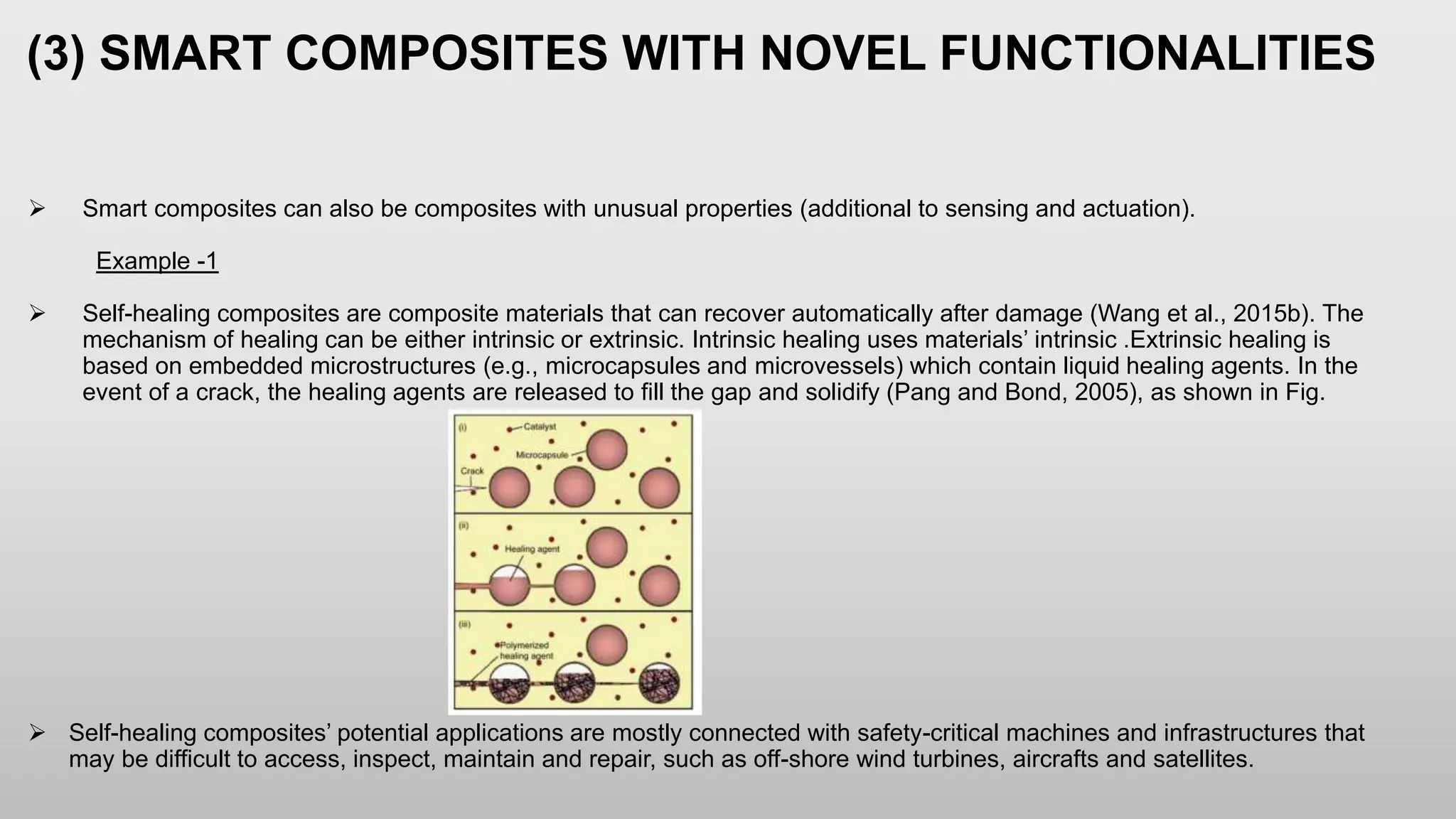 Smart Composites -Review.pptx
