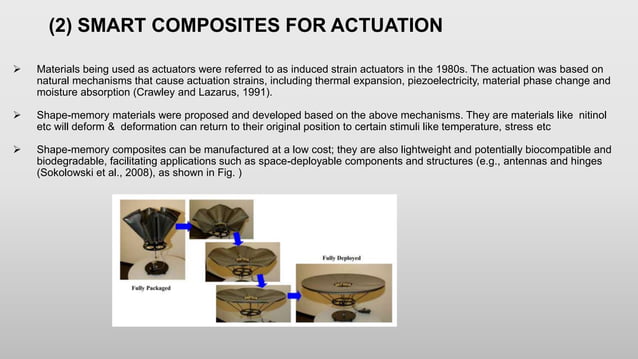 Smart Composites -Review.pptx