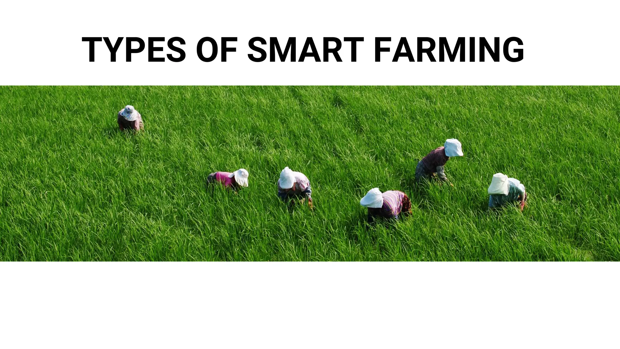 Smart farming | PPTX