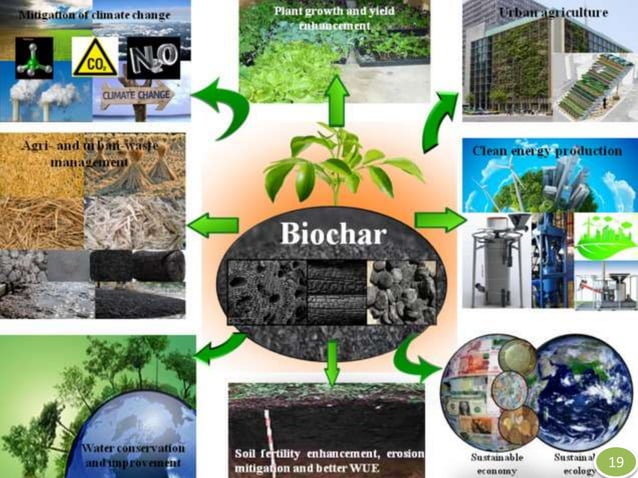 Smart fertilizers in sustainable agriculture | PPTX