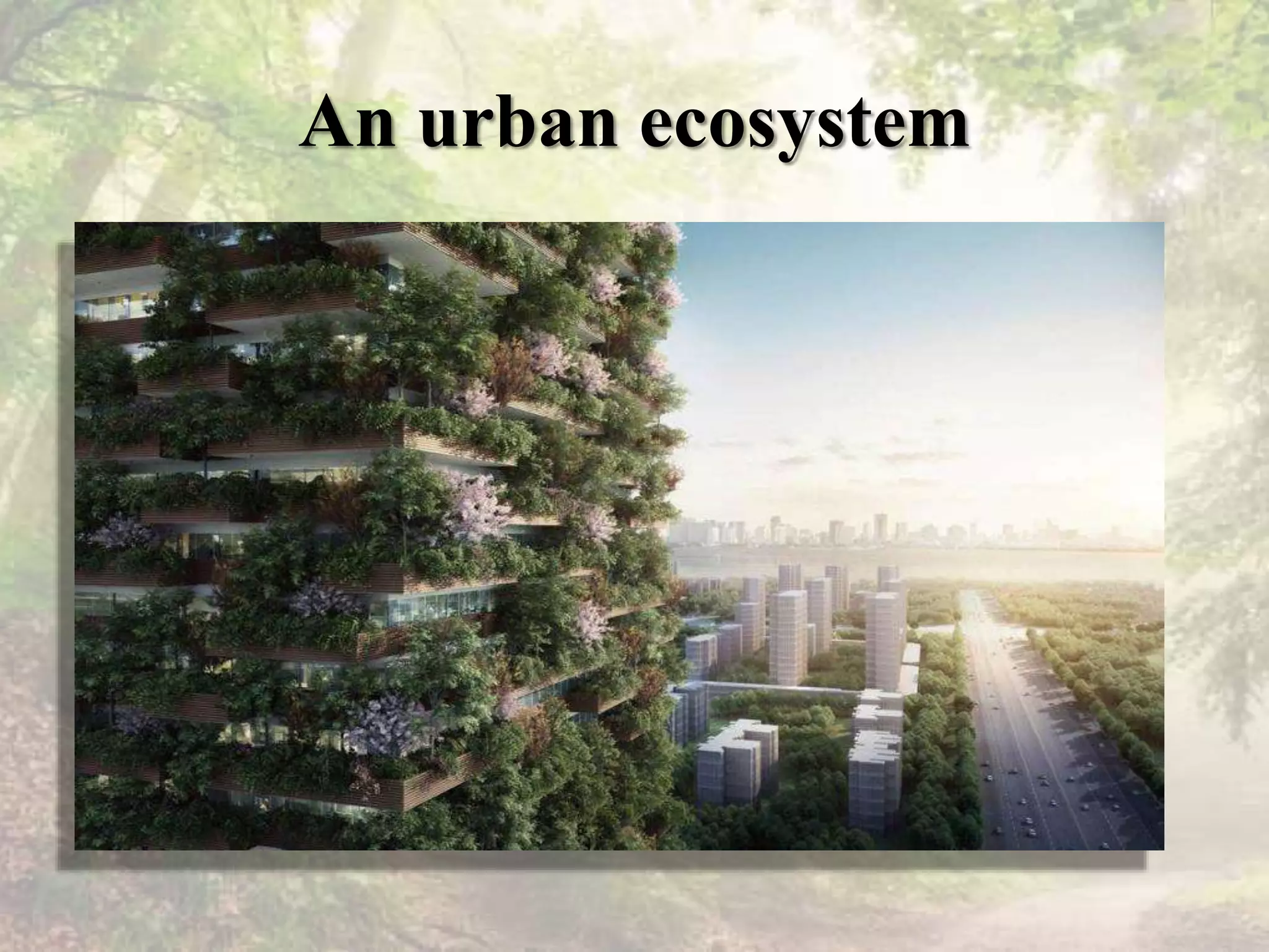 Smart forest cities | PPTX