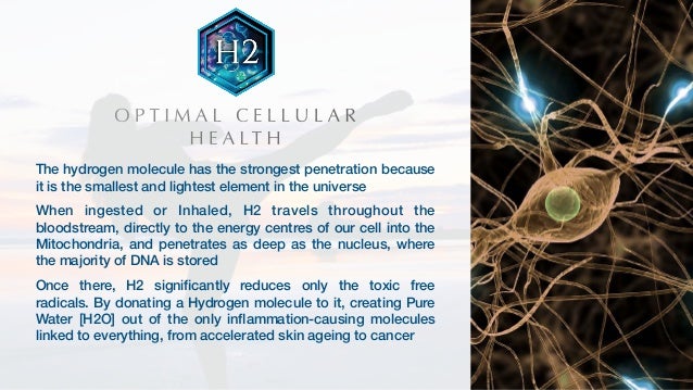 Smart h2 neuroflow 2022 short intro activation deck | PDF