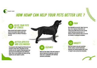 Smart hemp infographics converted | PDF