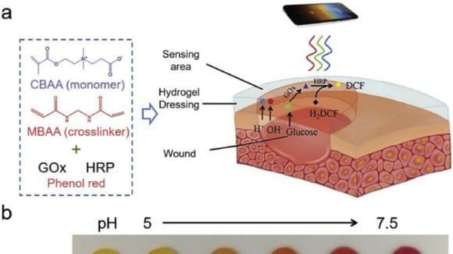 smart materials for biomedical applications.pdf