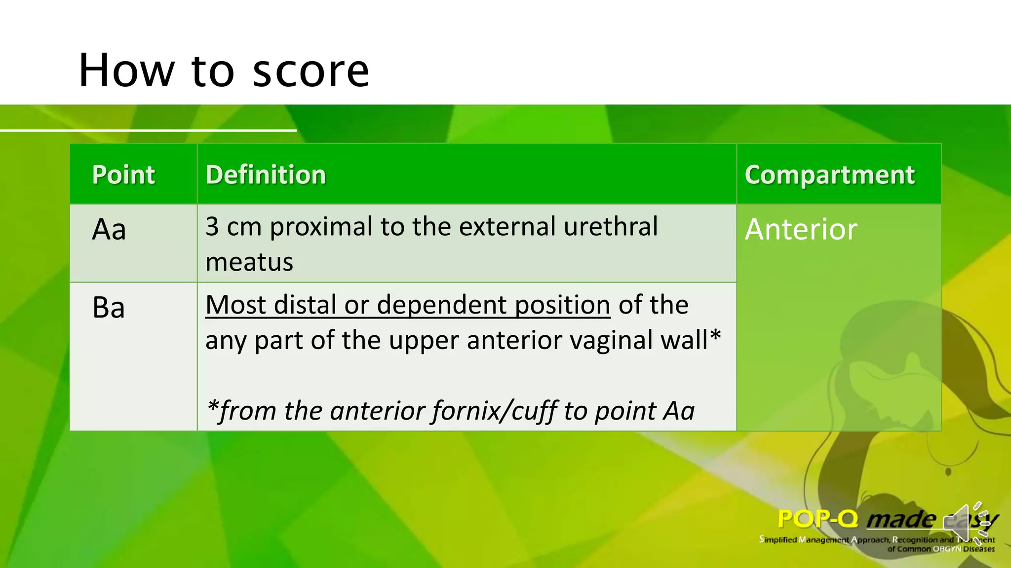 POP-Q made easy | PPSX