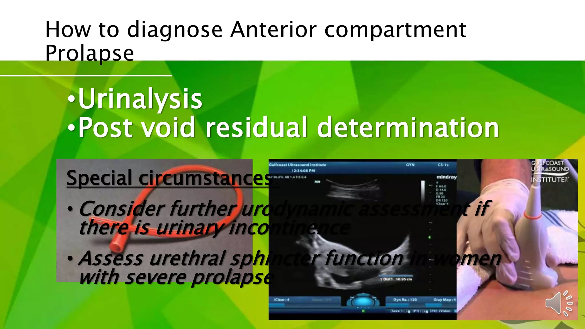 POP-Q made easy | PPSX