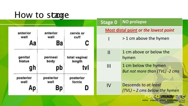 POP-Q made easy | PPSX | Reproductive Health | Diseases and Conditions