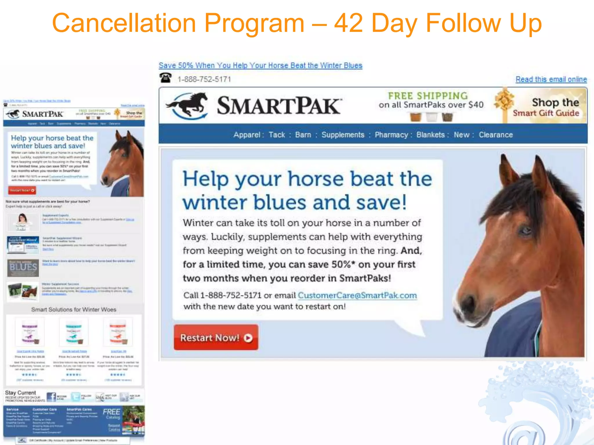 SmartPak Silverpop Lifecycle Email Program | PPT