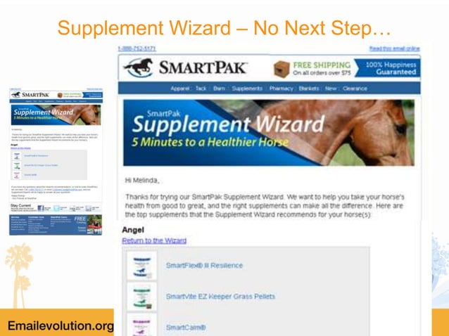 SmartPak Silverpop Lifecycle Email Program | PPT