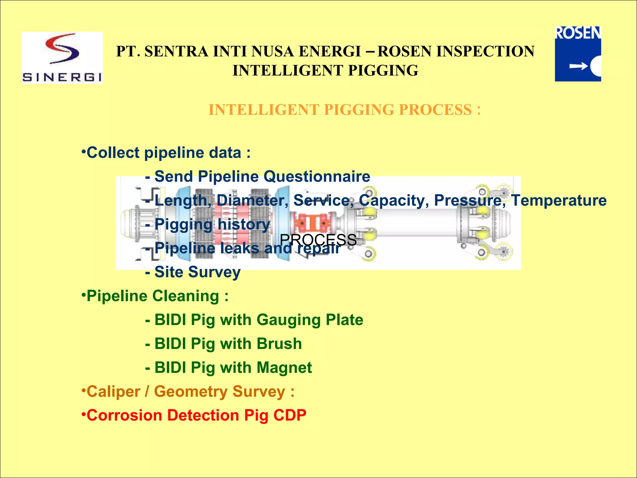 Smart Pigging | PPT