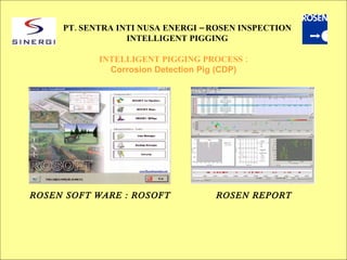 Smart Pigging | PPT