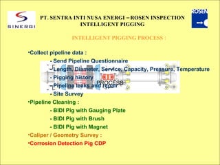 Smart Pigging | PPT