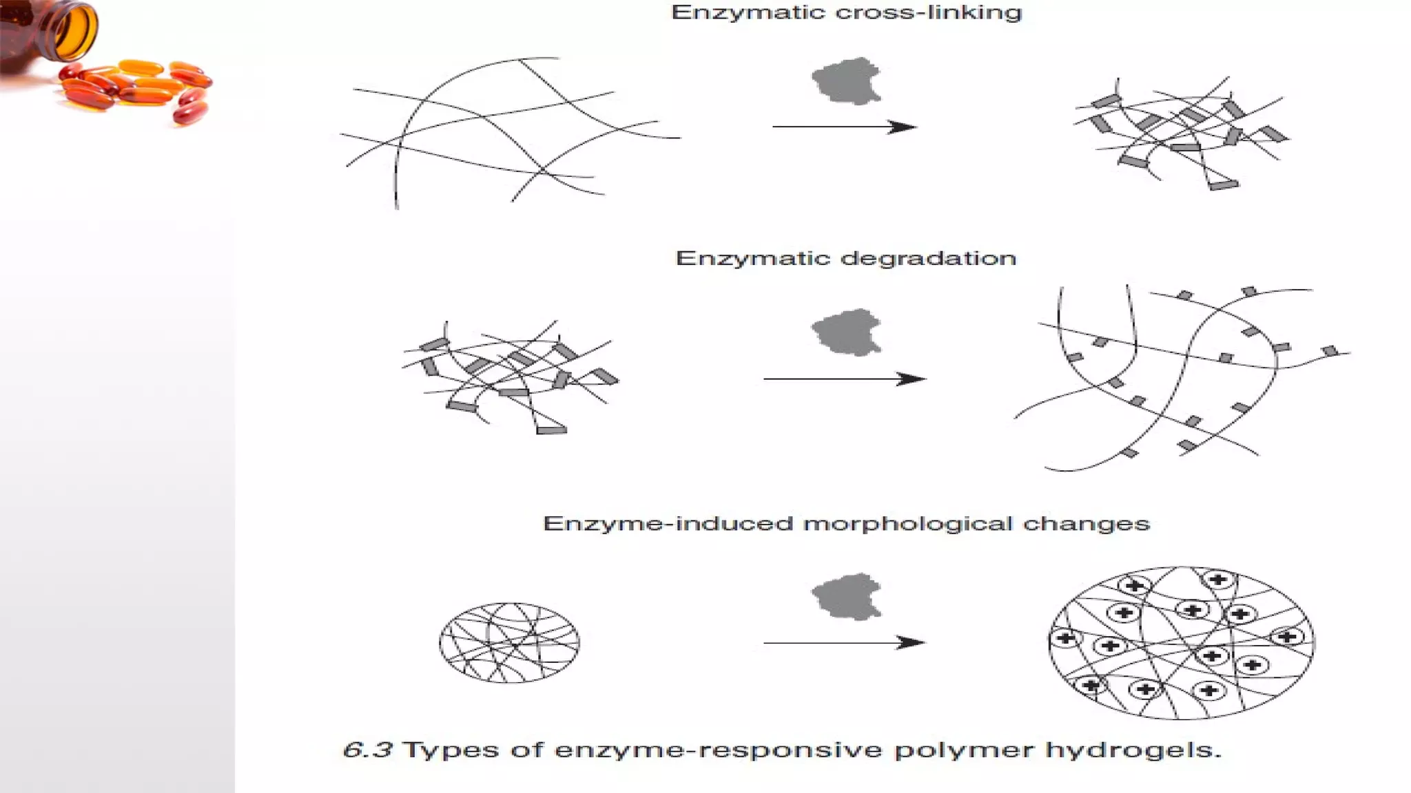 Smart polymers | PPT