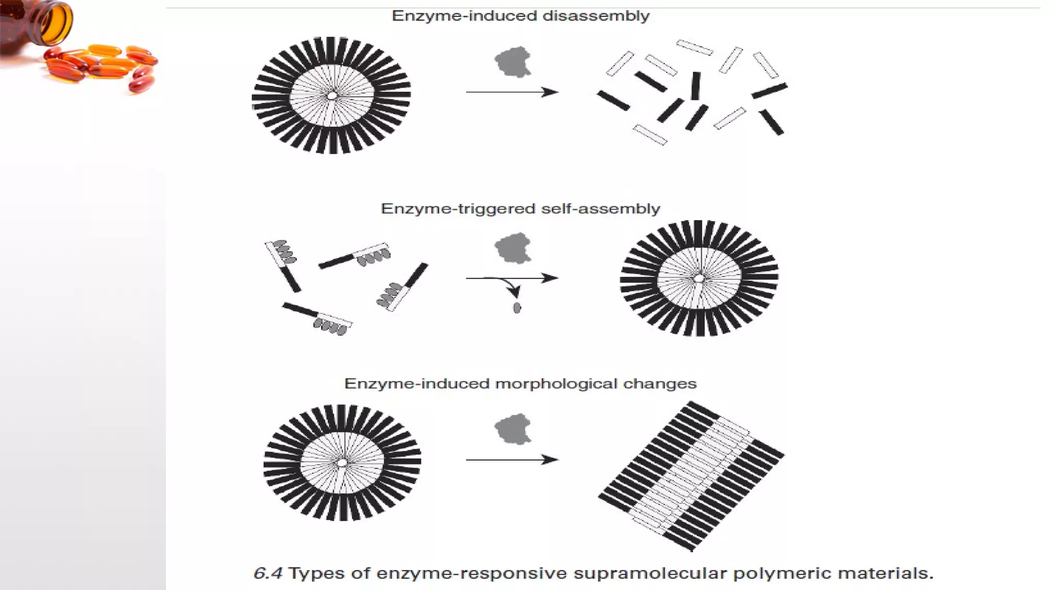 Smart polymers | PPT