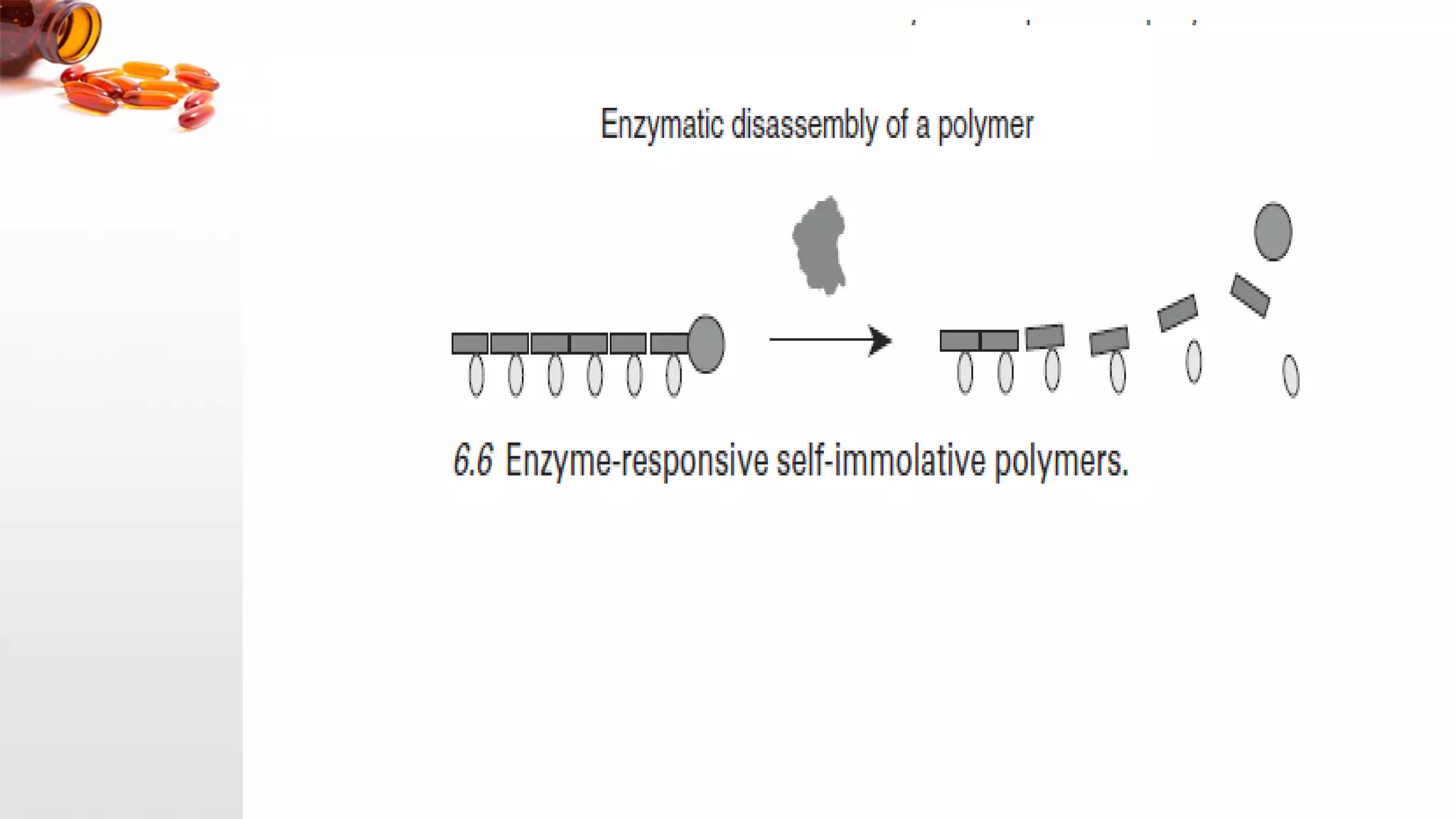 Smart polymers | PPT