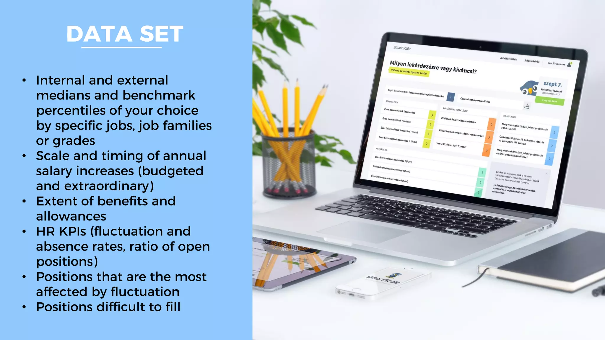 SmartScale Salary and HR benchmark | PDF